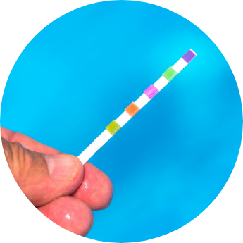 Pool Water Testing | HTH Pools