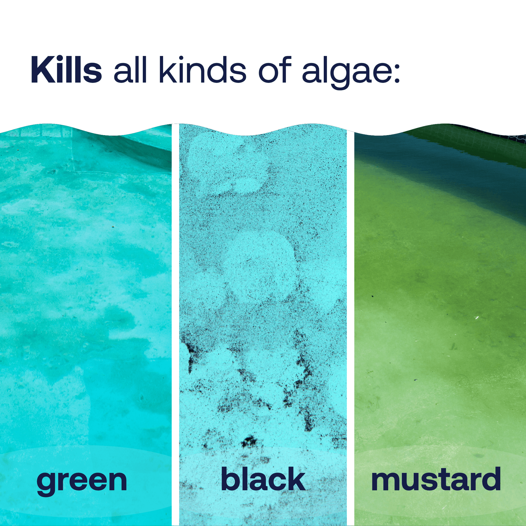 HTH™ Pool Care Algae Guard Ultra: Pool Algae Remover | HTH Pools